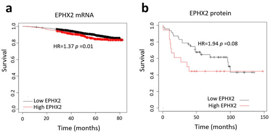 Upregulated Nuclear Expression of Soluble Epoxide Hydrolase Predicts ...