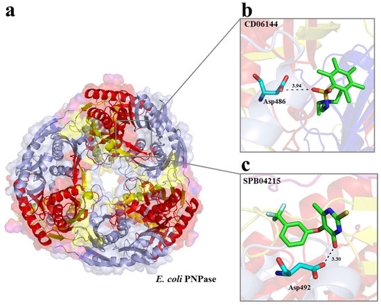 Identification of Ribonuclease Inhibitors for the Control of Pathogenic ...