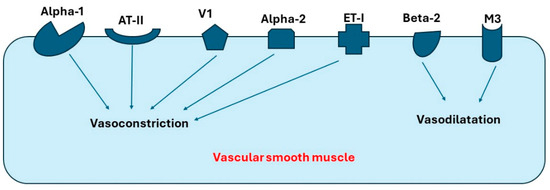 Beta-Blockers as an Immunologic and Autonomic Manipulator in Critically ...