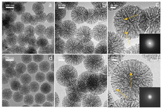 IJMS | Free Full-Text | Multifunctional Sr,Mg-Doped Mesoporous Bioactive Glass Nanoparticles for ...