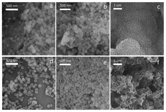IJMS | Free Full-Text | Multifunctional Sr,Mg-Doped Mesoporous Bioactive Glass Nanoparticles for ...