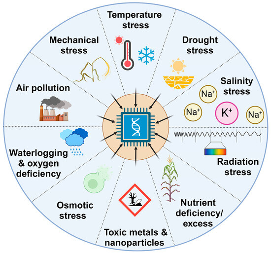Abiotic Stresses in Plants: From Molecules to Environment