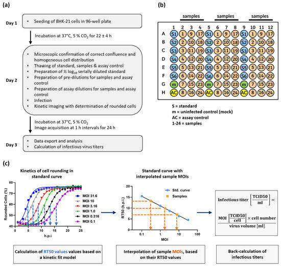 IJMS | Free Full-Text | High-Throughput Determination of Infectious ...