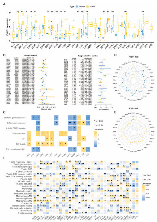 Deciphering the Effects of the PYCR Family on Cell Function, Prognostic ...