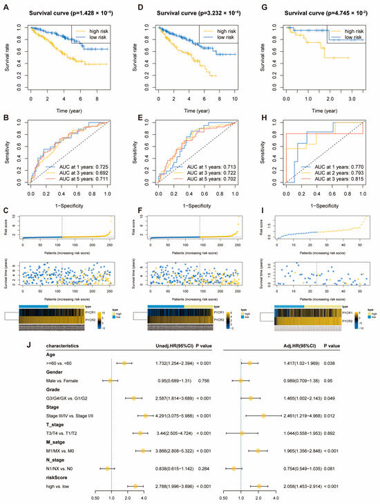 Deciphering the Effects of the PYCR Family on Cell Function, Prognostic ...