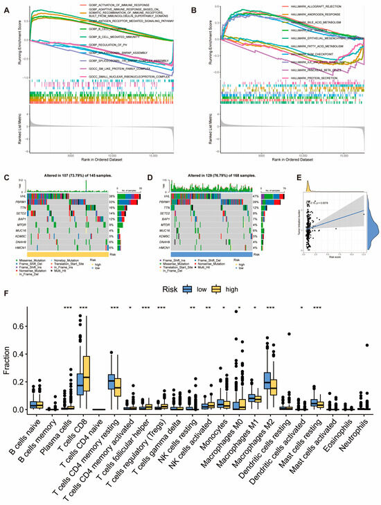 Deciphering the Effects of the PYCR Family on Cell Function, Prognostic ...