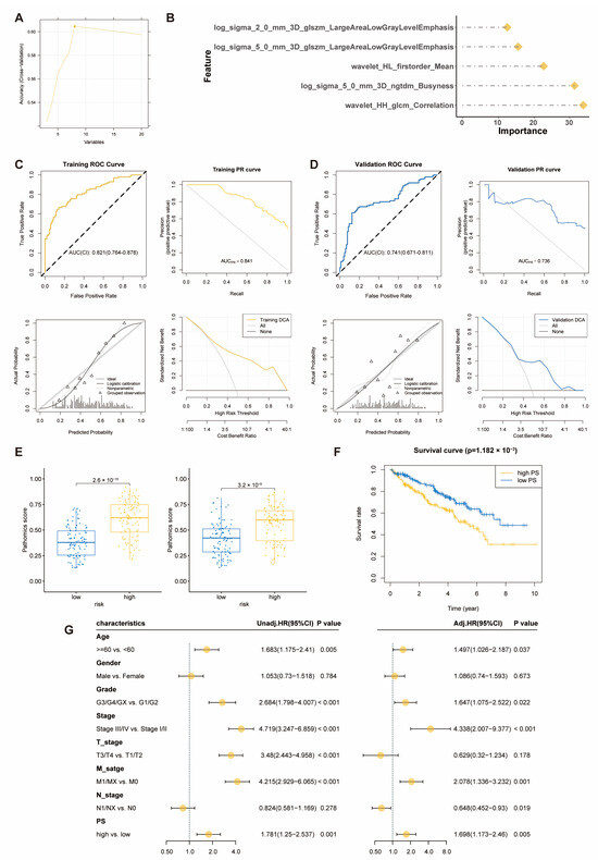 Deciphering the Effects of the PYCR Family on Cell Function, Prognostic ...