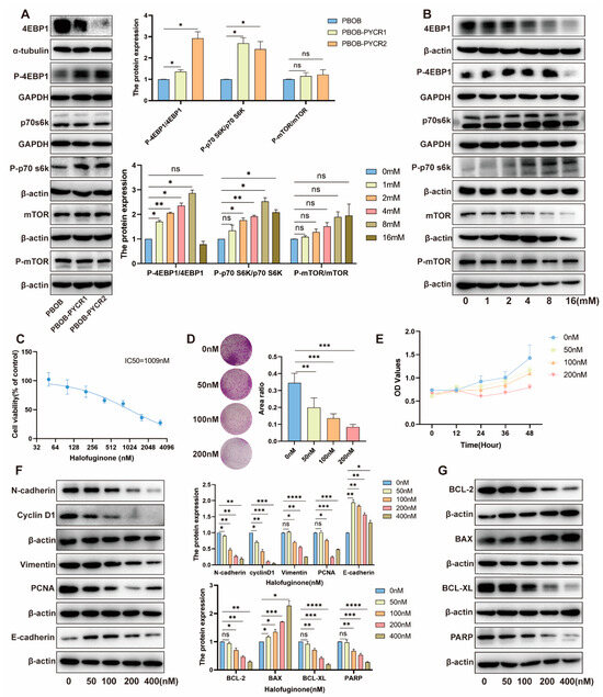 Deciphering the Effects of the PYCR Family on Cell Function, Prognostic ...