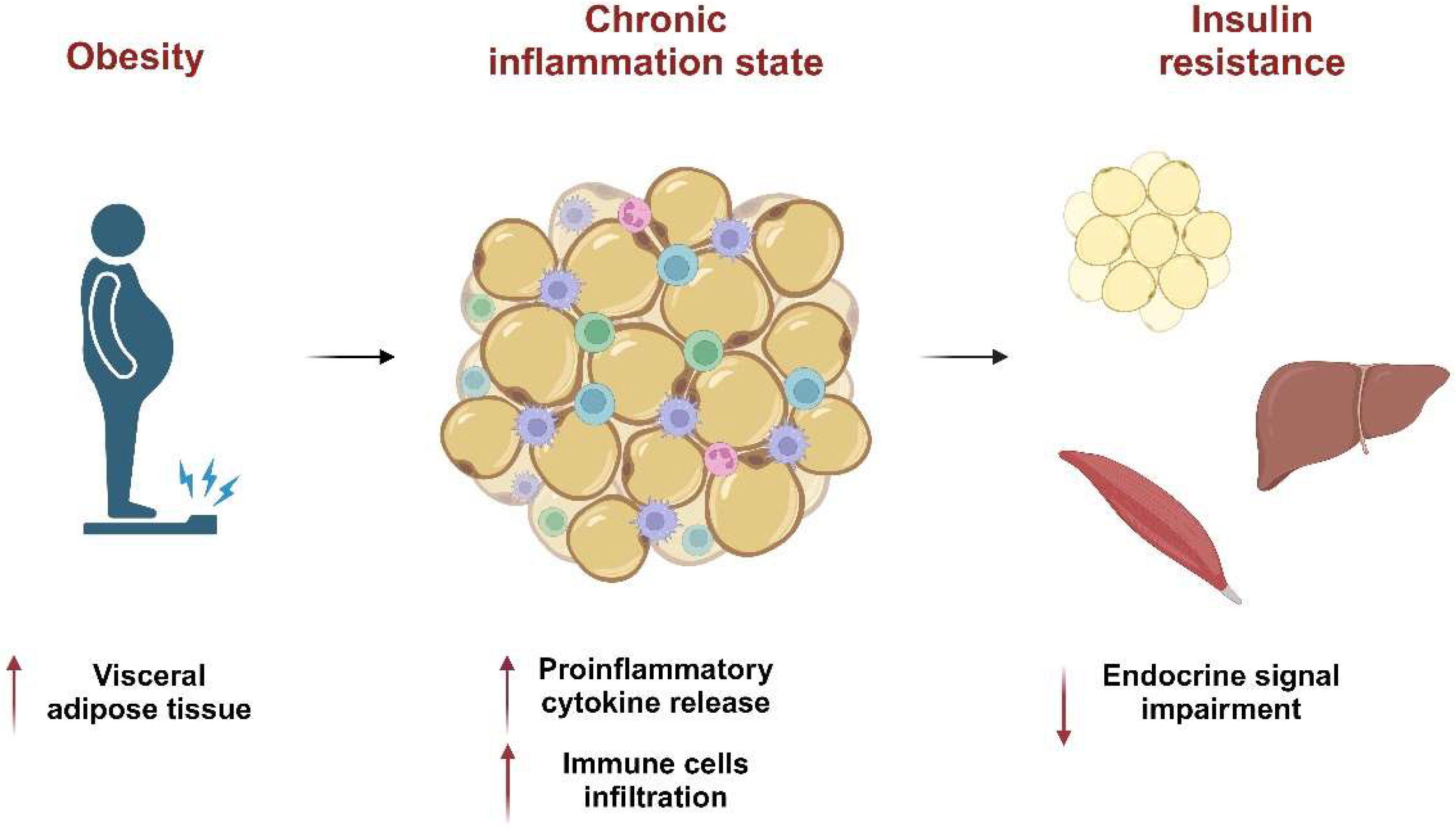 Metabolic Syndrome and Psoriasis: Pivotal Roles of Chronic Inflammation and Gut Microbiota