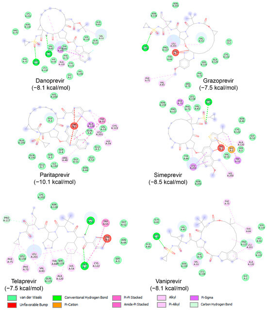 Breaking the Chain: Protease Inhibitors as Game Changers in Respiratory ...