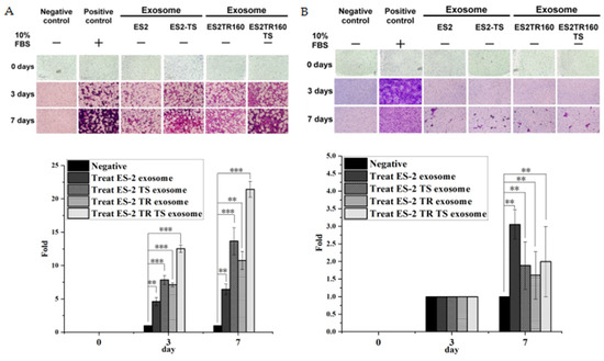 COL6A3 Exosomes Promote Tumor Dissemination and Metastasis in ...