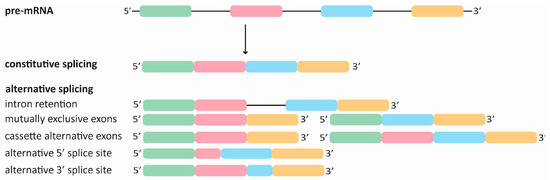 Get Spliced: Uniting Alternative Splicing and Arthritis
