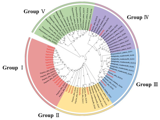 Genome-Wide Identification and Functional Analysis of the GUX Gene ...