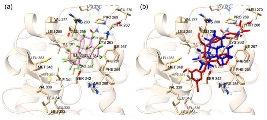 Large-Scale Screening of Per- and Polyfluoroalkyl Substance Binding ...