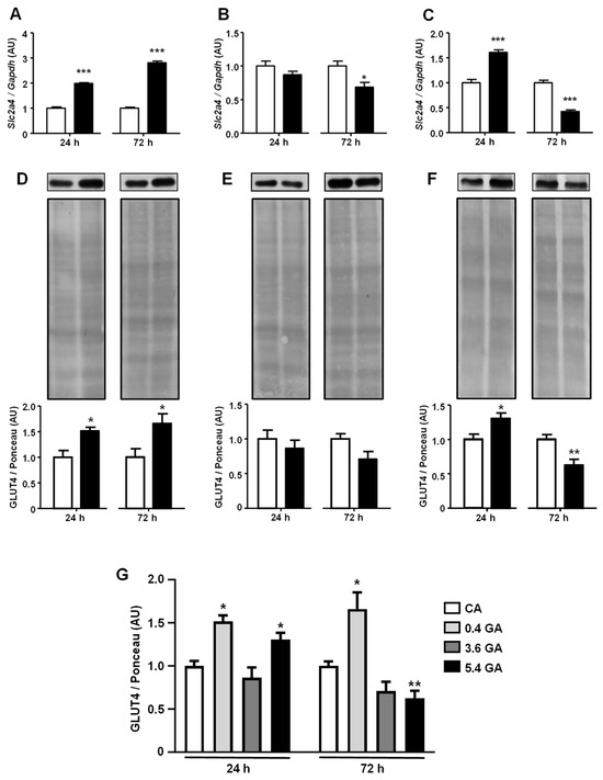 Nuclear Factor-Kappa-B Mediates the Advanced Glycation End Product ...