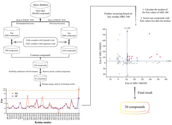 Discovery of the Inhibitor Targeting the SLC7A11/xCT Axis through In Silico and In Vitro Experiments