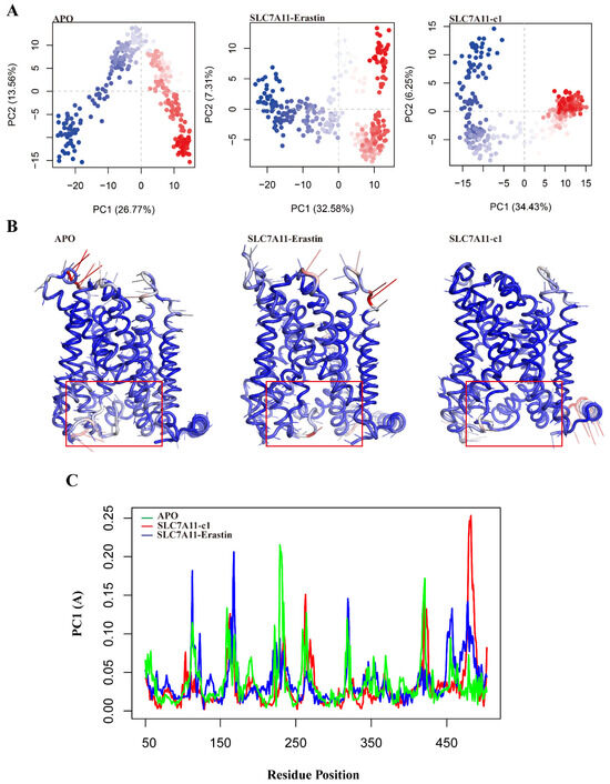 Discovery of the Inhibitor Targeting the SLC7A11/xCT Axis through In ...