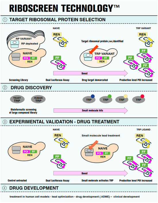 RiboScreenTM Technology Delivers a Ribosomal Target and a Small ...