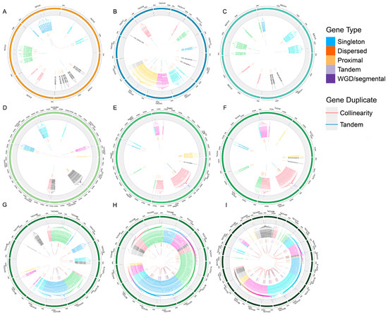 Genome-Wide Identification and Evolution-Profiling Analysis of TPS Gene Family in Triticum Plants