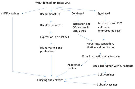 Avian Influenza Virus A(H5Nx) and Prepandemic Candidate Vaccines: State ...