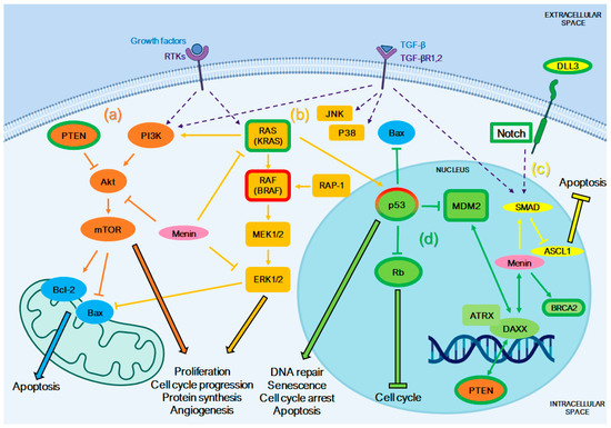An Overview of Altered Pathways Associated with Sensitivity to Platinum ...