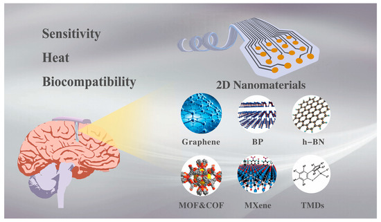 Applications of 2D Nanomaterials in Neural Interface