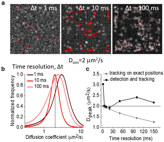 IJMS | Free Full-Text | Trajectory Analysis in Single-Particle Tracking ...