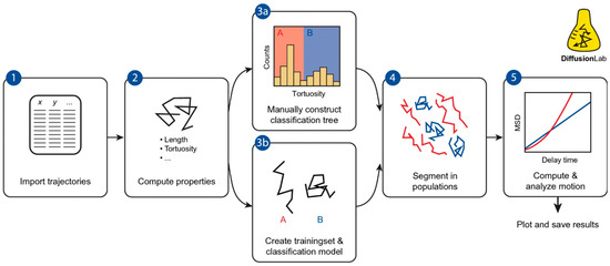 Trajectory Analysis in Single-Particle Tracking: From Mean Squared ...