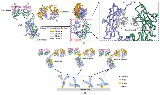 Virtual Screening and Validation of Affinity DNA Functional Ligands for ...