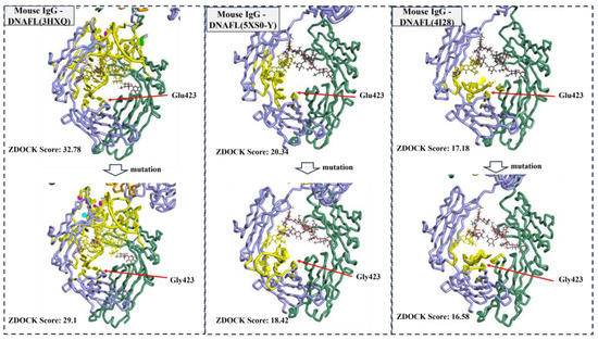 Virtual Screening and Validation of Affinity DNA Functional Ligands for ...
