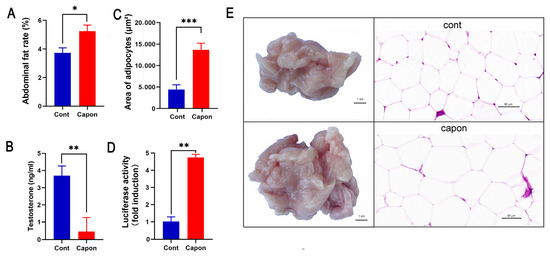 Low Testosterone and High Leptin Activate PPAR Signaling to Induce ...