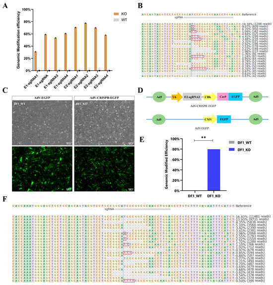 One-Step Genetic Modification by Embryonic Doral Aorta Injection of ...