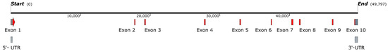 The Human OCTN Sub-Family: Gene and Protein Structure, Expression, and ...
