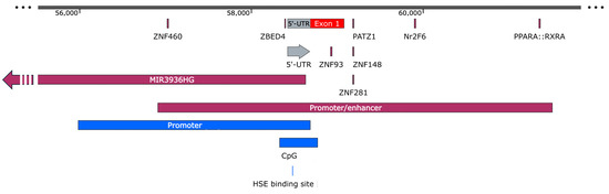 The Human OCTN Sub-Family: Gene and Protein Structure, Expression, and ...