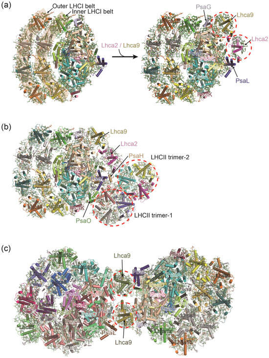 Photosystem I: A Paradigm for Understanding Biological Environmental ...
