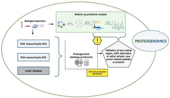 Phenotyping Tumor Heterogeneity through Proteogenomics: Study Models ...