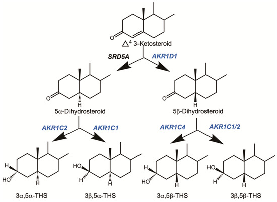 5β-Dihydrosteroids: Formation and Properties