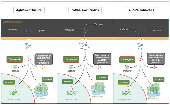 Recent Advances in the Development of Metal/Metal Oxide Nanoparticle ...