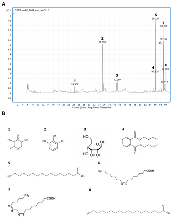 IJMS | Free Full-Text | Therapeutic Potential of Rosa davurica Pall. Root Extract as an ...