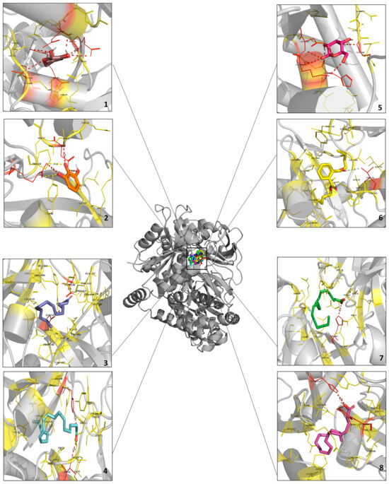 IJMS | Free Full-Text | Therapeutic Potential of Rosa davurica Pall. Root Extract as an ...