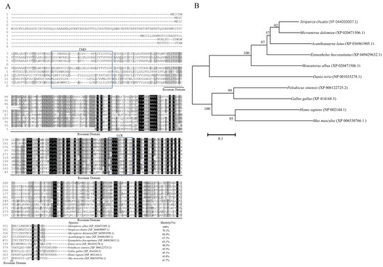 Characterization and Functional Analysis of the 17-Beta Hydroxysteroid ...