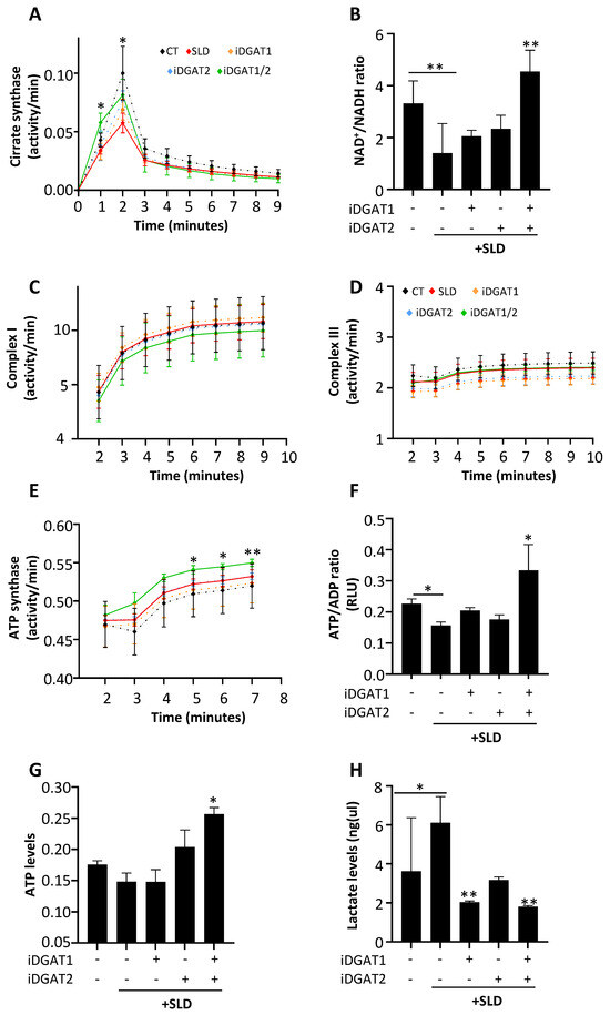 DGAT1 and DGAT2 Inhibitors for Metabolic Dysfunction-Associated ...