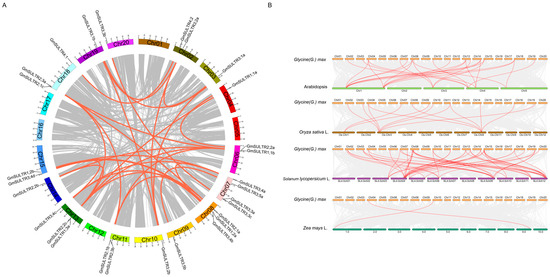 Identification and Expression Analysis of Sulfate Transporter Genes ...