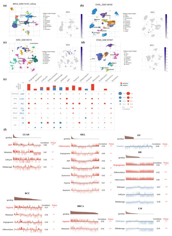 Identification and Validation of STC1 Act as a Biomarker for High ...