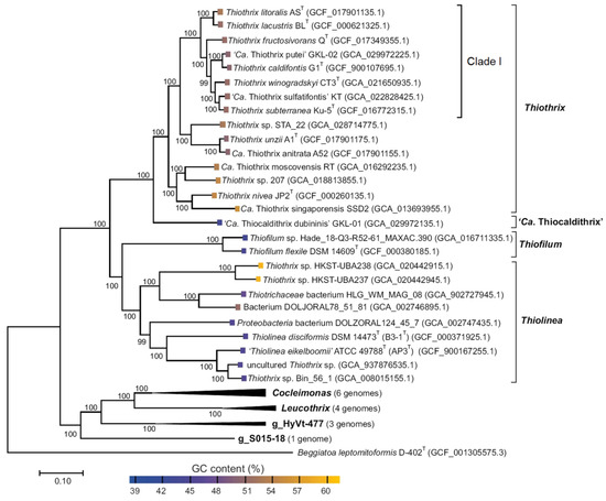 Wastewater Treatment with Bacterial Representatives of the Thiothrix ...