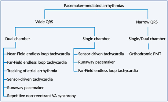 Differentiation of Sinoatrial-like Cardiomyocytes as a Biological ...