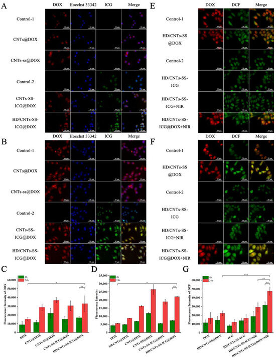 Synergistic Photothermal Therapy and Chemotherapy Enabled by Tumor ...