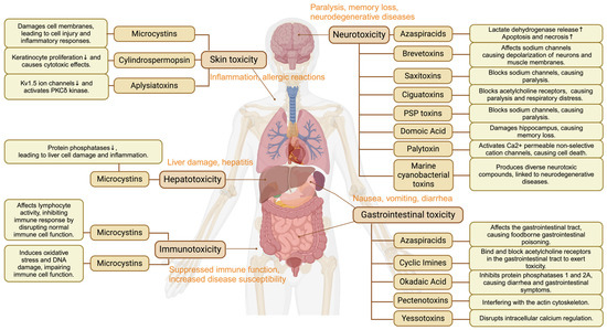 Toxicological and Pharmacological Activities, and Potential Medical ...