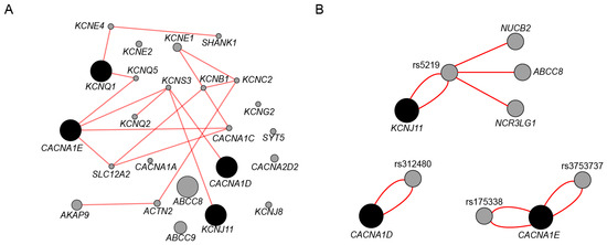 Association Study of CACNA1D, KCNJ11, KCNQ1, and CACNA1E Single ...