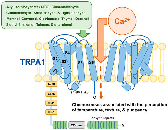 TRPA1-Related Diseases and Applications of Nanotherapy